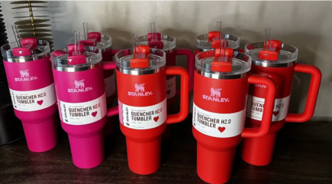 Decoding the Stanley Cup Viral Phenomenon